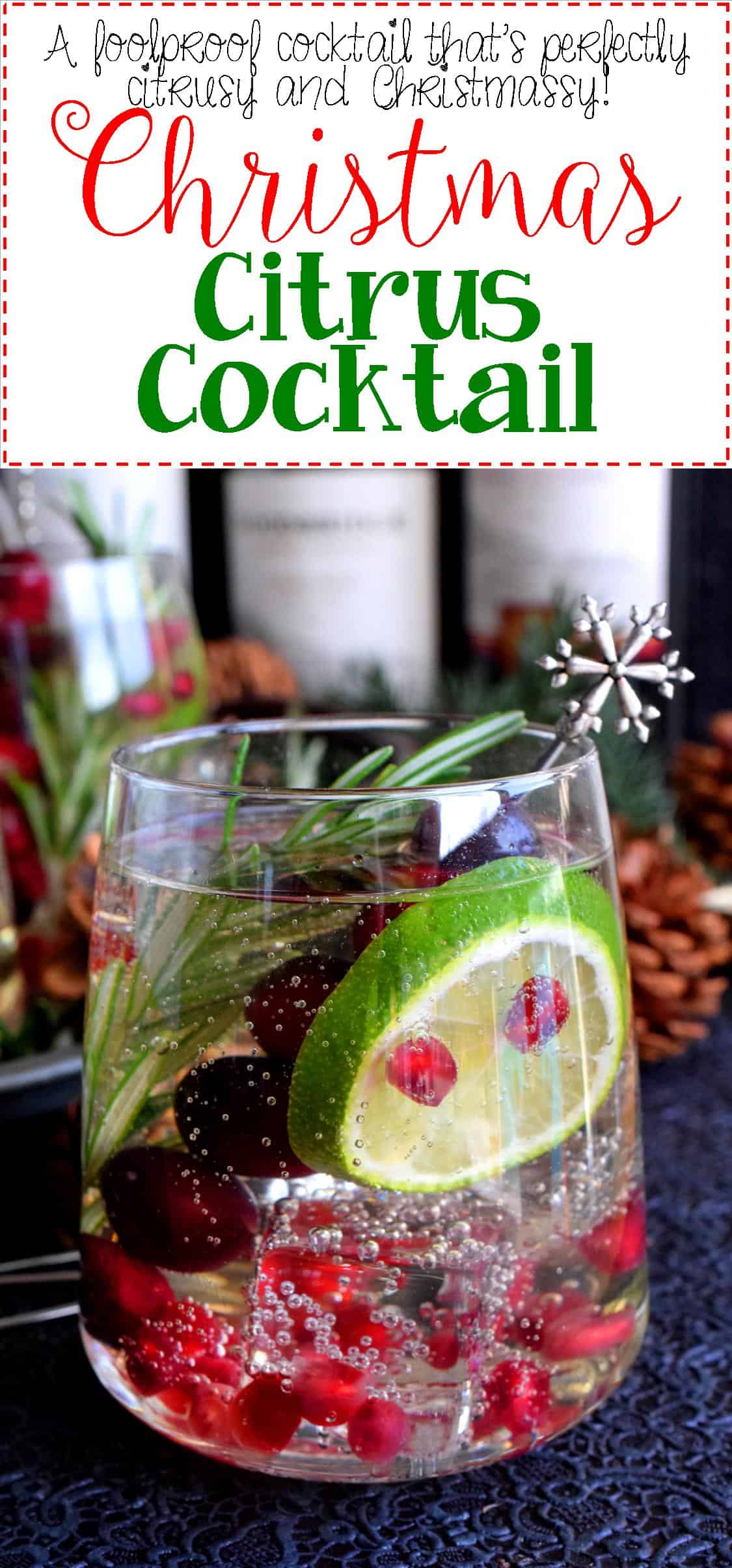 Christmas Citrus Cocktail - Lord Byron's Kitchen