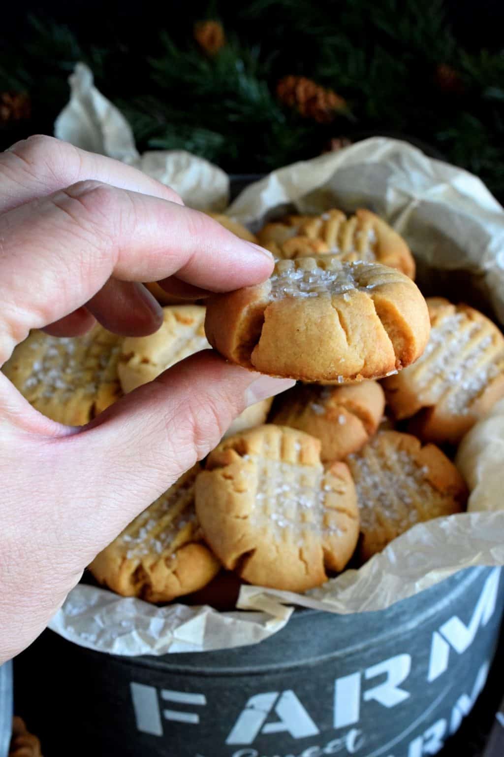 Peanut Butter Shortbread Cookies - Lord Byron's Kitchen