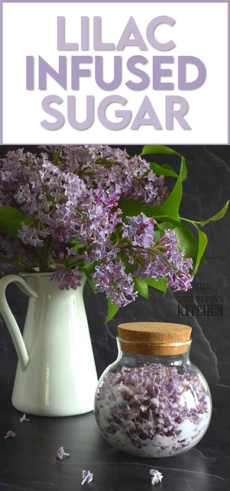 Lilac Infused Sugar - Lord Byron's Kitchen