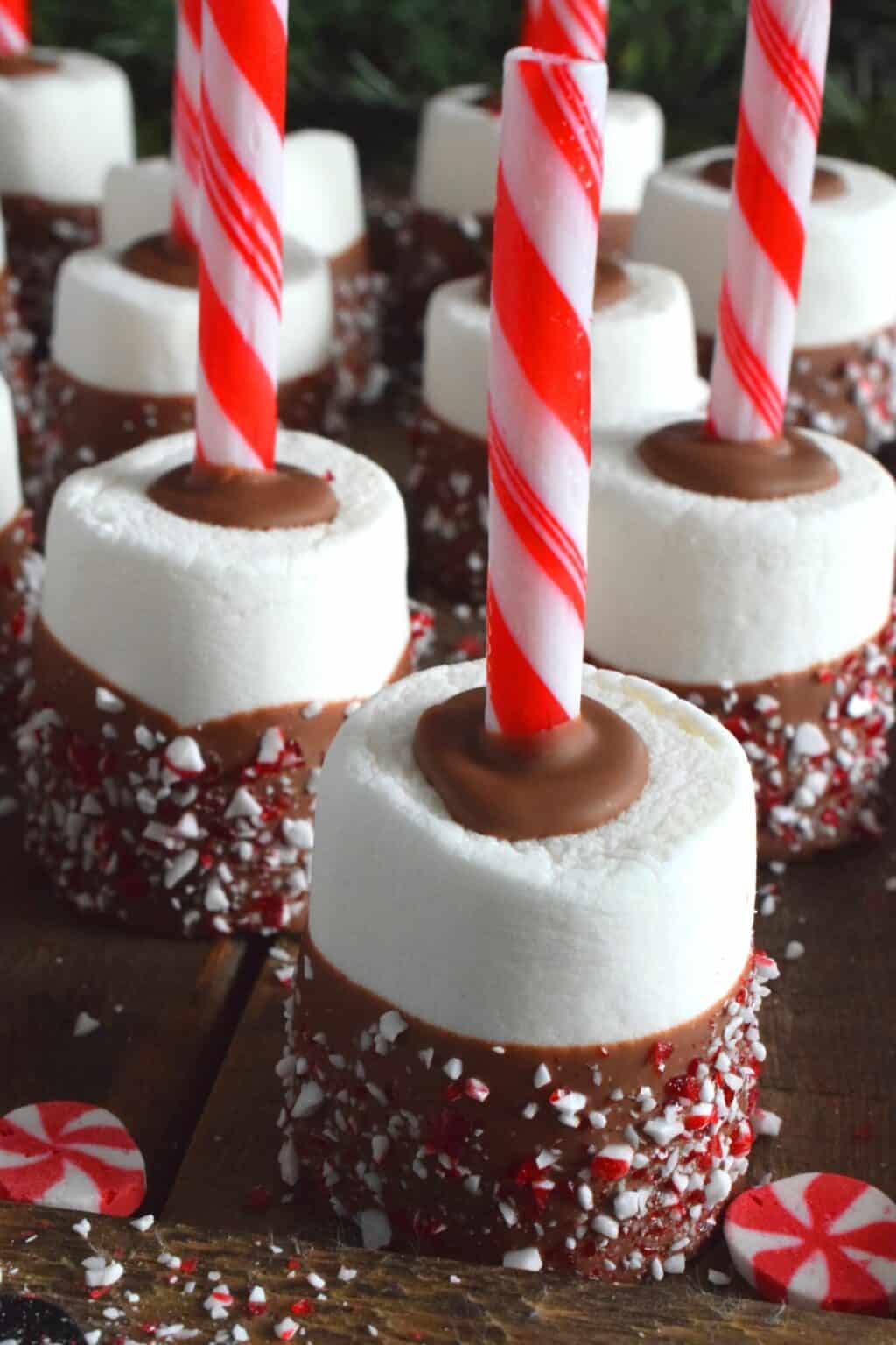 Candy Cane Marshmallow Pops - Lord Byron's Kitchen