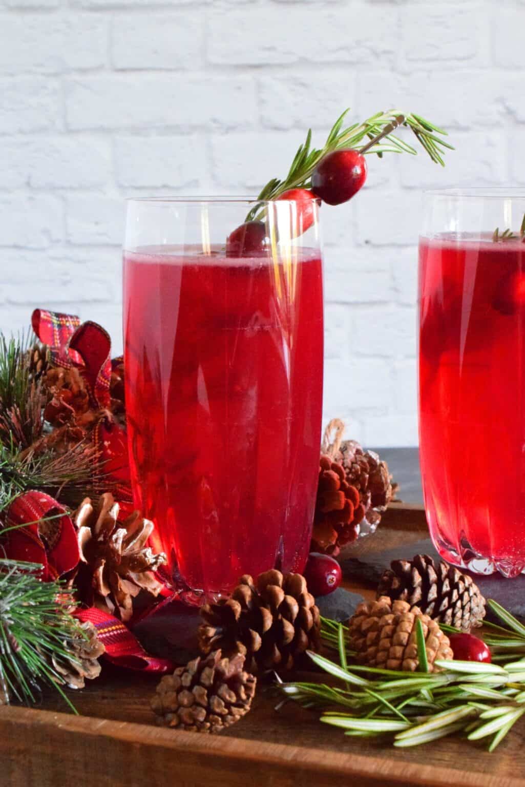 Holiday Cranberry Cocktail - Lord Byron's Kitchen
