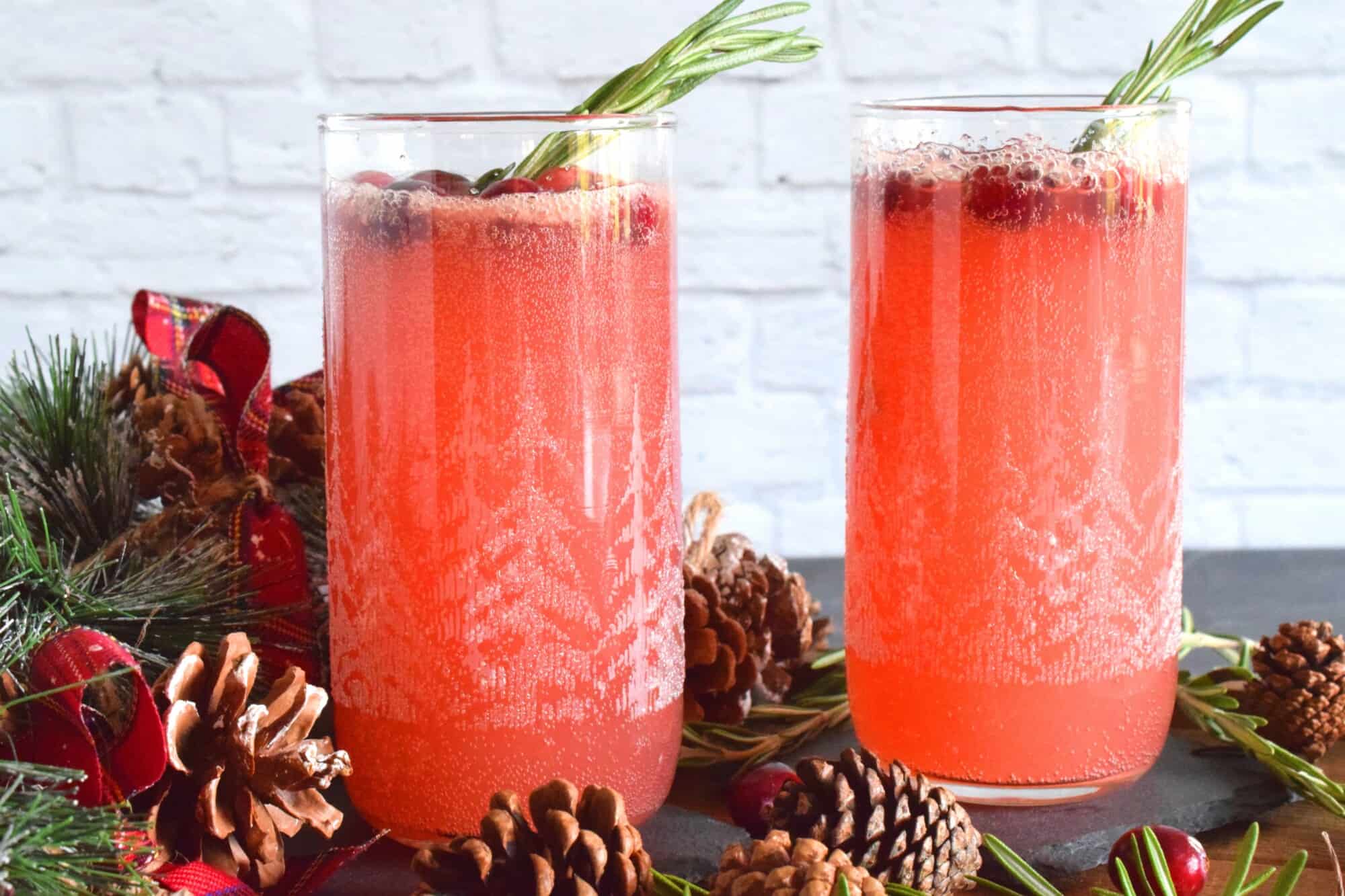 Rudolph’s Fruity Spritzer - Lord Byron's Kitchen