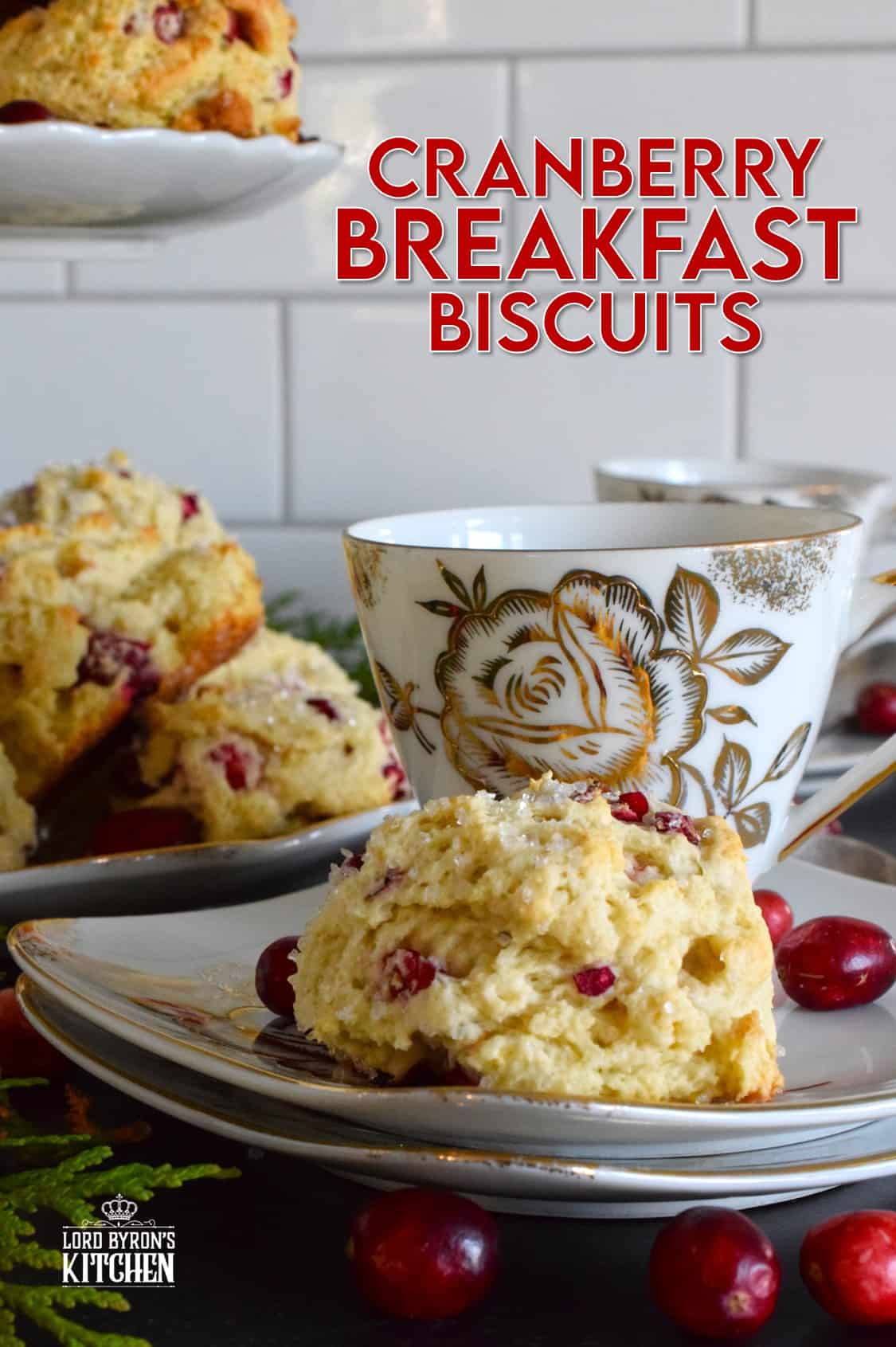 Cranberry Breakfast Biscuits - Lord Byron's Kitchen