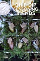 Chip Dip Seasoning Blends - Lord Byron's Kitchen