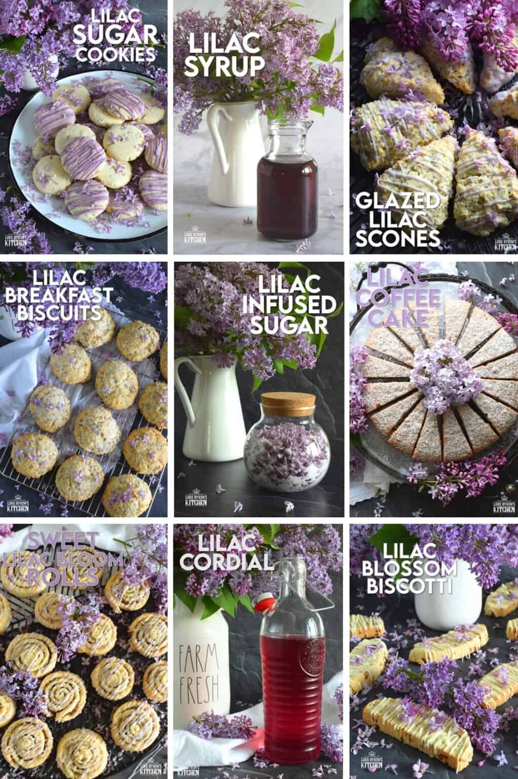 14 Lilac Blossom Recipes - Lord Byron's Kitchen