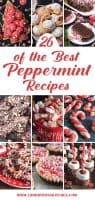 26 of the Best Holiday Peppermint Recipes - Lord Byron's Kitchen