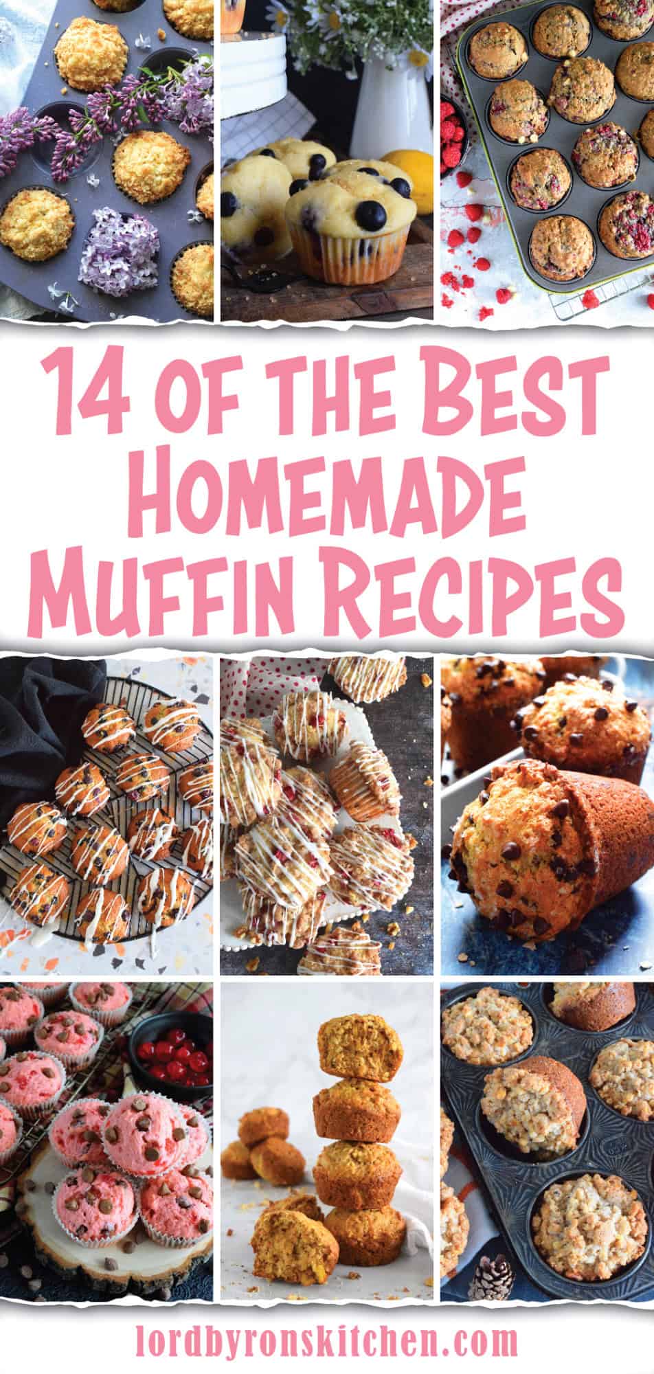 14 of the Best Homemade Muffin Recipes - Lord Byron's Kitchen